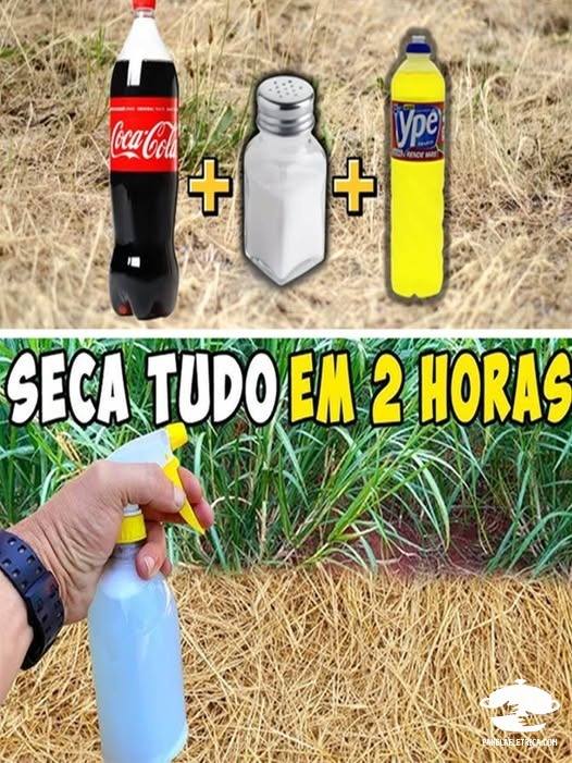 Como Fazer Mata Mato Caseiro - lp - Minhas Receitinhas